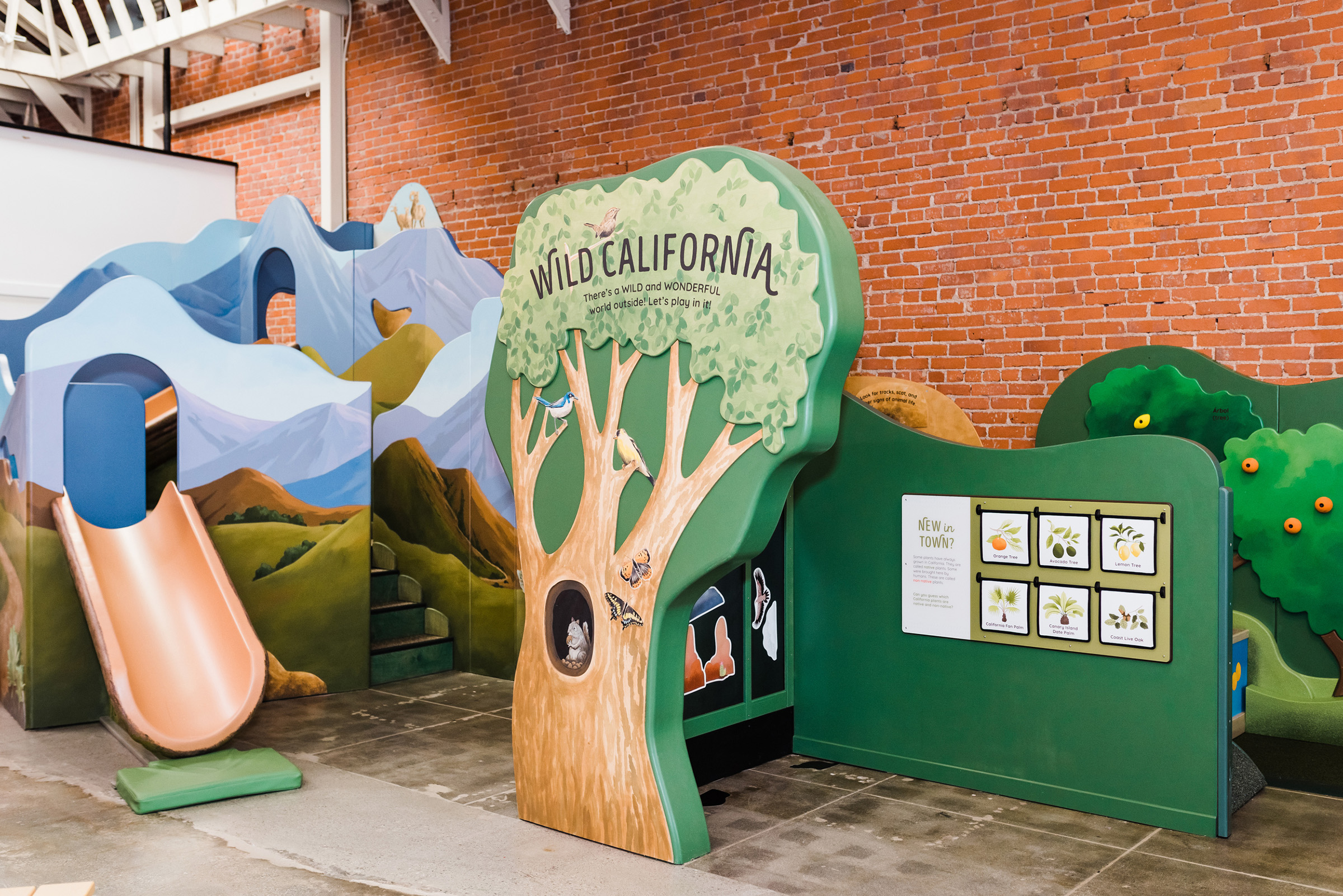 WILD CALIFORNIA - Southern California Children's Museum